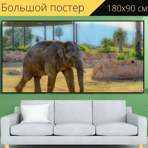 Большой постер "Слон, животное, зоопарк" 180 x 90 см. для интерьера