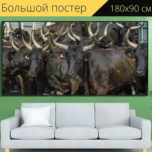 Большой постер "Камарг, быки, справедливая" 180 x 90 см. для интерьера