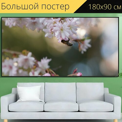 Большой постер "Вишня в цвету, цвести, весна" 180 x 90 см. для интерьера
