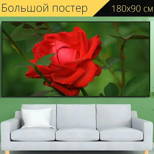 Большой постер "Цветок, красный, роза" 180 x 90 см. для интерьера