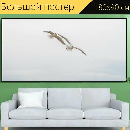 Большой постер "Чайка, птицы, летающий" 180 x 90 см. для интерьера