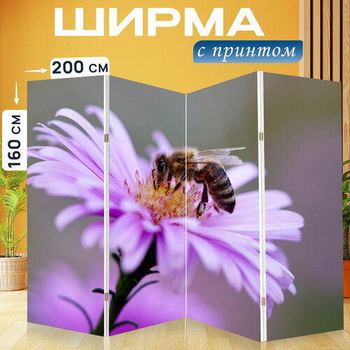 Ширма перегородка с принтом "Пчела, насекомое, цветок" на холсте - 200x160 см. для зонирования, раскладная