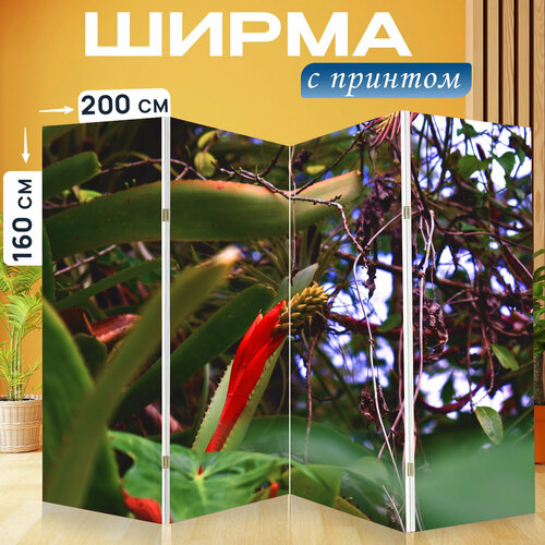 Ширма перегородка с принтом "Природа, цветок, шипы" на холсте - 200x160 см. для зонирования, раскладная