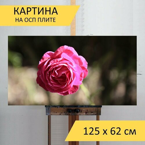 Картина на ОСП 125х62 см. "Цветок, роза, летом" горизонтальная, для интерьера, с креплениями