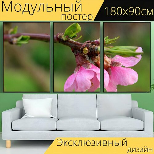 Модульный постер "Персик, фруктовые деревья, цветущие деревья" 180 x 90 см. для интерьера
