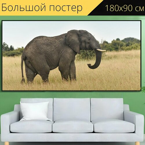 Большой постер "Слон, дикая природа, слоны" 180 x 90 см. для интерьера
