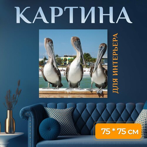 Картина на холсте "Пеликаны, птицы, природа" на подрамнике 75х75 см. для интерьера