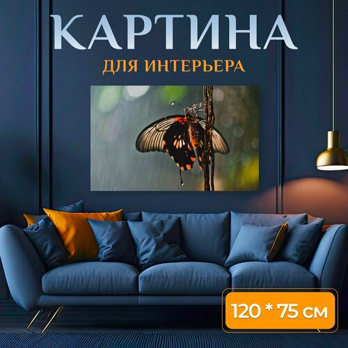 Картина на холсте "Бабочка, дождь, насекомое" на подрамнике 120х75 см. для интерьера