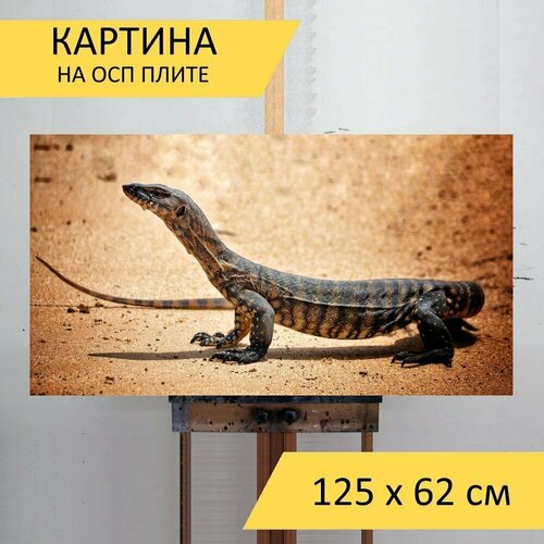 Картина на ОСП 125х62 см. "Монитор, ящерица, рептилия" горизонтальная, для интерьера, с креплениями