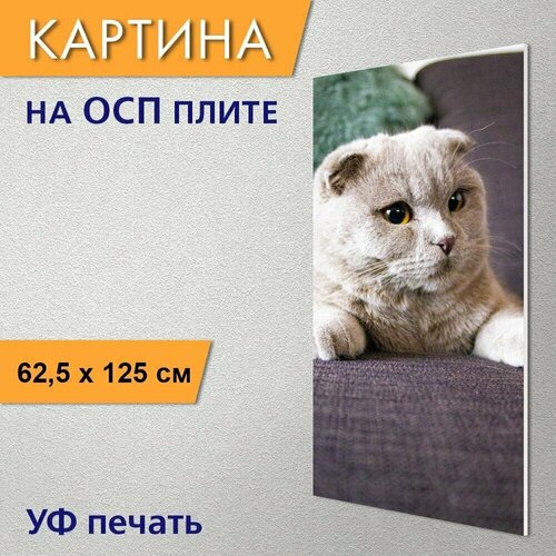 Вертикальная картина на ОСП "Кошка, милая, милый" 62x125 см. для интерьериа