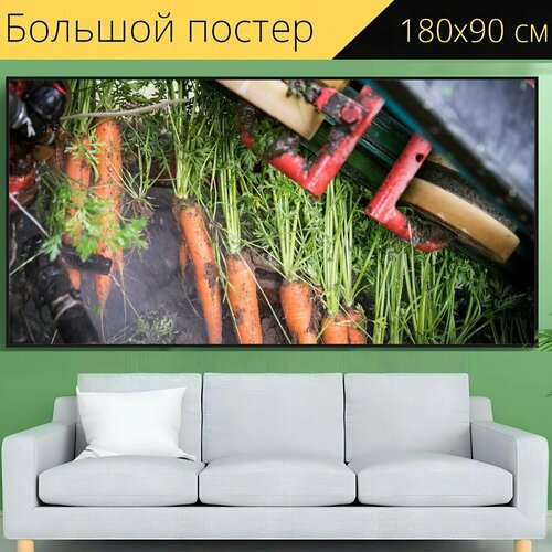 Большой постер "Морковь, морковь поле, морковь урожая" 180 x 90 см. для интерьера