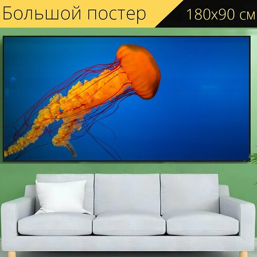 Большой постер "Медуза, животное, подводный" 180 x 90 см. для интерьера
