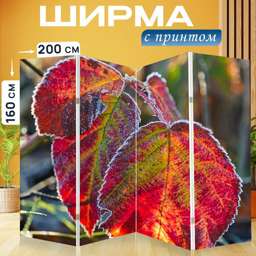 Ширма перегородка с принтом "Листья, замороженный, замерзшая листва" на холсте - 200x160 см. для зонирования, раскладная