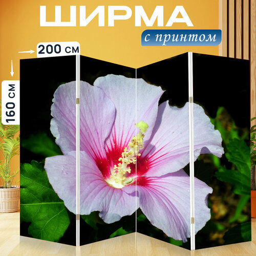 Ширма перегородка с принтом "Гибискус, цветок, красочный" на холсте - 200x160 см. для зонирования, раскладная