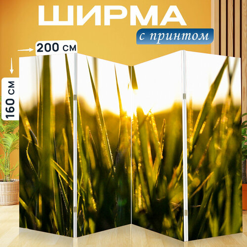 Ширма перегородка с принтом "Трава, заход солнца, силуэт" на холсте - 200x160 см. для зонирования, раскладная