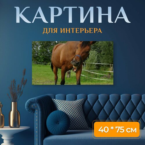 Картина на холсте "Лошадь, коричневый, животное" на подрамнике 75х40 см. для интерьера