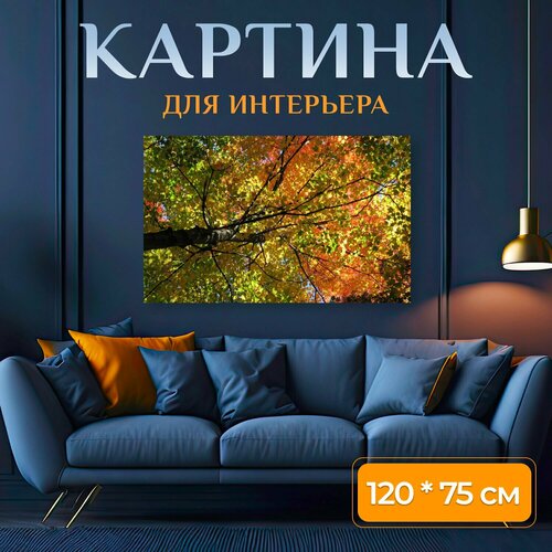 Картина на холсте "Падение, листья, клен" на подрамнике 120х75 см. для интерьера