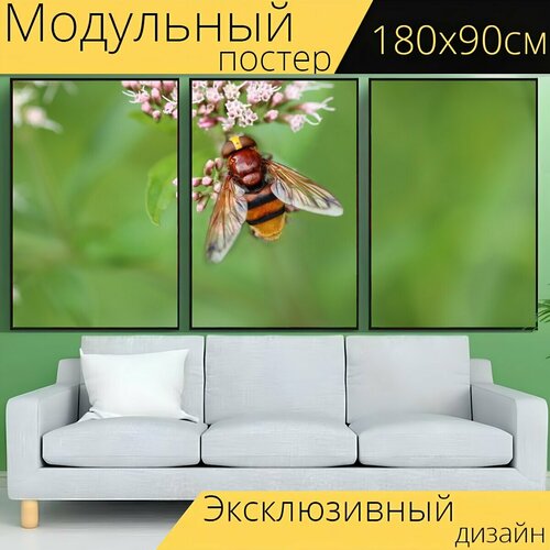 Модульный постер "Летать в воздухе, насекомое, шершней взвешенные муха" 180 x 90 см. для интерьера