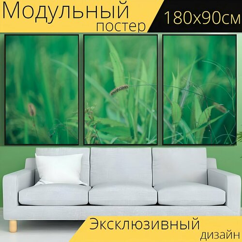 Модульный постер "Сорняки, рисовые поля, поля" 180 x 90 см. для интерьера