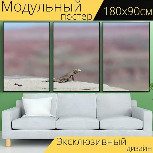 Модульный постер "Ящерица, пустыня, гора" 180 x 90 см. для интерьера