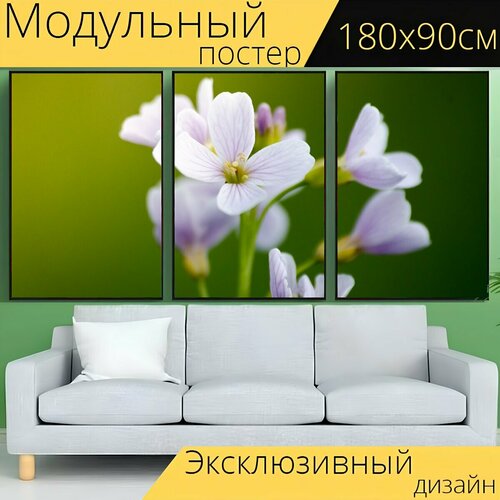 Модульный постер "Природа, цветок, завод" 180 x 90 см. для интерьера
