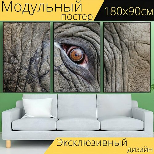 Модульный постер "Животное, слон, глаз" 180 x 90 см. для интерьера