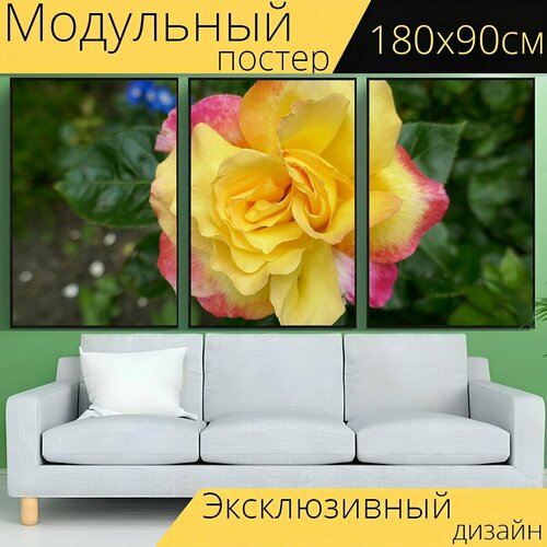 Модульный постер "Роза, благородная роза, желтый" 180 x 90 см. для интерьера