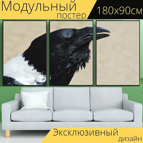 Модульный постер "Птица, дикая природа, животное" 180 x 90 см. для интерьера