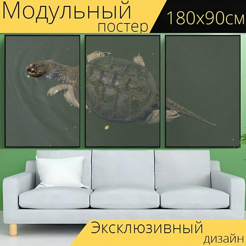 Модульный постер "Черепаха, рептилия, плавание" 180 x 90 см. для интерьера