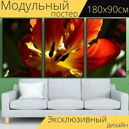 Модульный постер "Тюльпан, попугай тюльпан, весна" 180 x 90 см. для интерьера