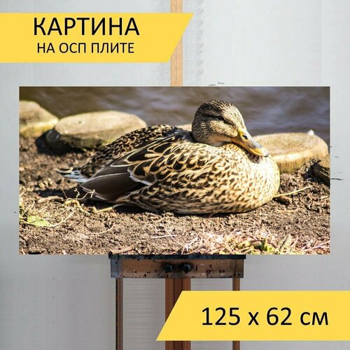 Картина на ОСП 125х62 см. "Птица, утка, природа" горизонтальная, для интерьера, с креплениями