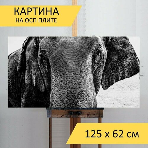 Картина на ОСП 125х62 см. "Слон, большой, портрет" горизонтальная, для интерьера, с креплениями