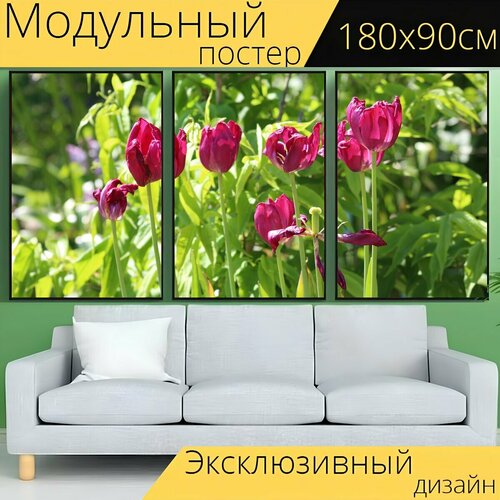 Модульный постер "Природа, цветы, тюльпаны" 180 x 90 см. для интерьера