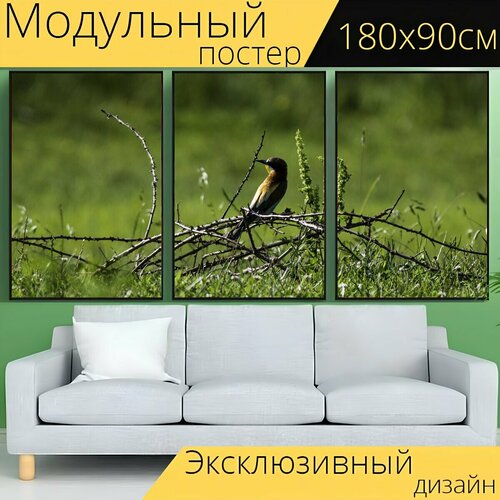 Модульный постер "Щурка, птицы, природа" 180 x 90 см. для интерьера