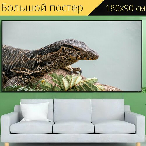 Большой постер "Рептилия, дракон, ящерица" 180 x 90 см. для интерьера