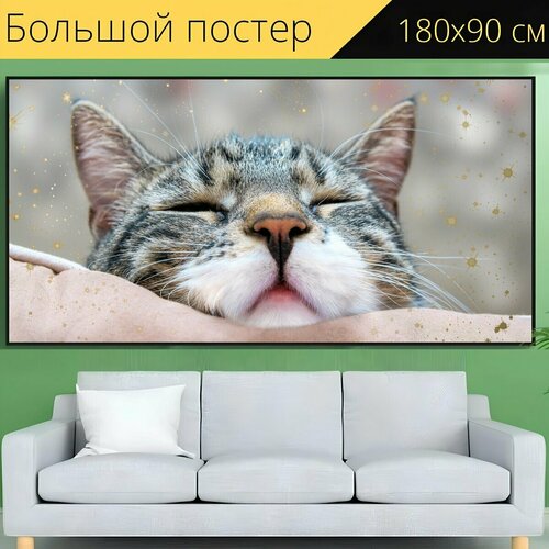Большой постер "Кошка, полосатый, спать" 180 x 90 см. для интерьера