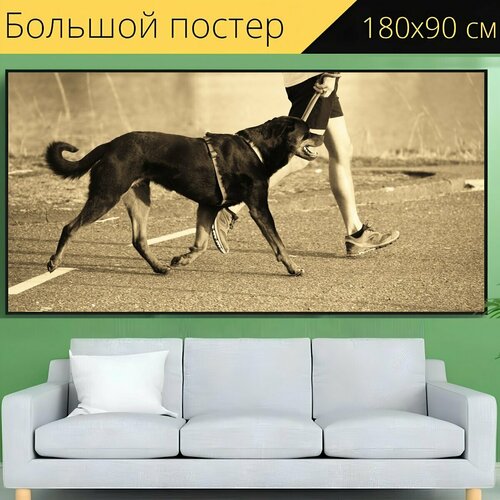 Большой постер "Собака, животное, бегун" 180 x 90 см. для интерьера