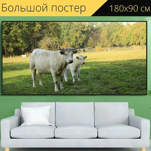 Большой постер "Животные, корова, трава" 180 x 90 см. для интерьера