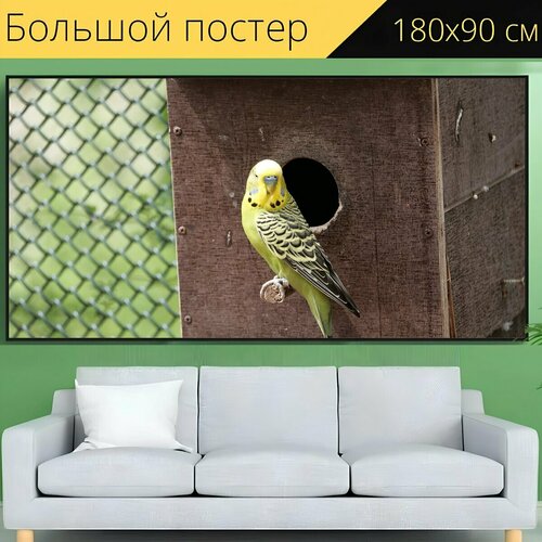 Большой постер "Волнистый попугайчик, птица, желтый" 180 x 90 см. для интерьера