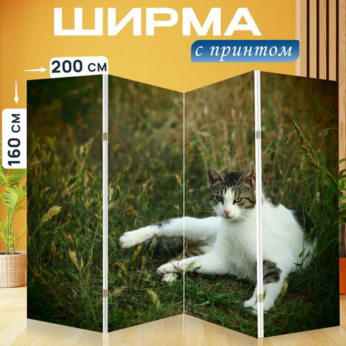 Ширма перегородка с принтом "Кошка, животное, котенок" на холсте - 200x160 см. для зонирования, раскладная