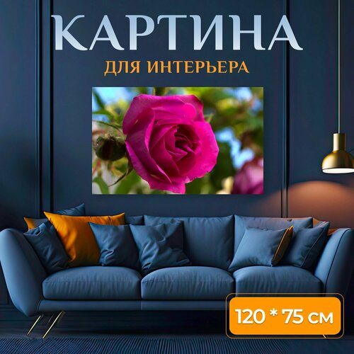 Картина на холсте "Роза, бутон розы, розовый" на подрамнике 120х75 см. для интерьера