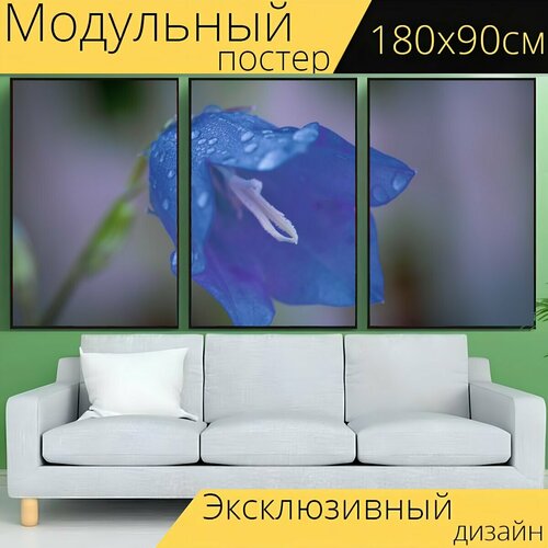 Модульный постер "Цветок, синий, цвести" 180 x 90 см. для интерьера