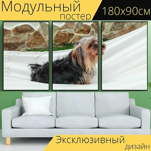 Модульный постер "Собака, йоркширский терьер, чернить" 180 x 90 см. для интерьера