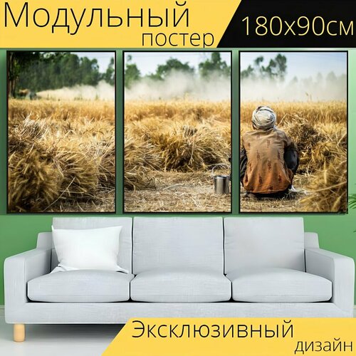 Модульный постер "Фермер, пшеница, обрезать" 180 x 90 см. для интерьера