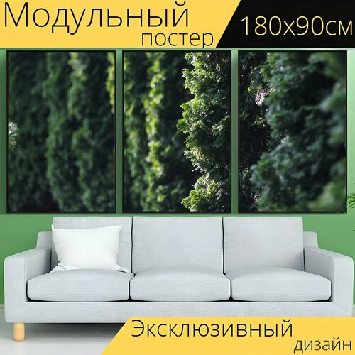 Модульный постер "Живая изгородь, вечнозеленый, сад" 180 x 90 см. для интерьера