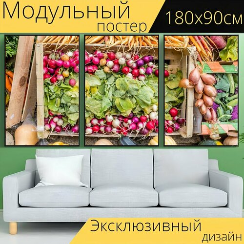 Модульный постер "Овощи, рынок, цвет" 180 x 90 см. для интерьера