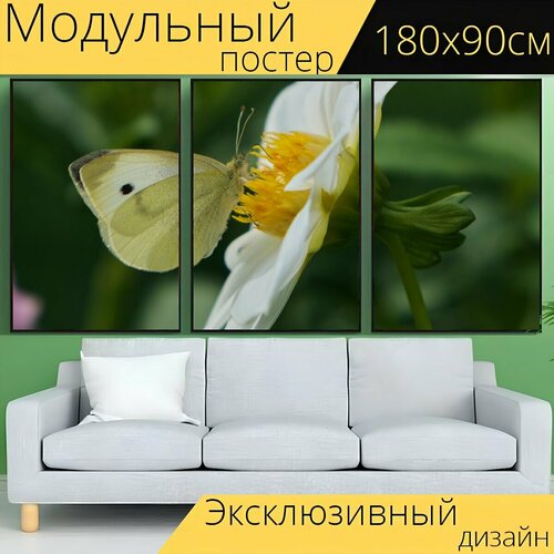Модульный постер "Бабочка, цветок, природа" 180 x 90 см. для интерьера