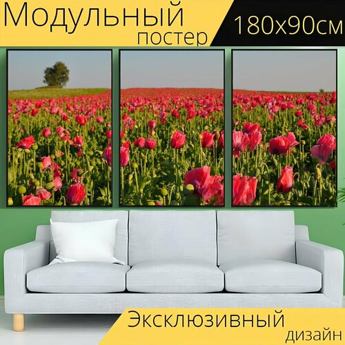 Модульный постер "Мак, цветущее маковое поле, природа" 180 x 90 см. для интерьера