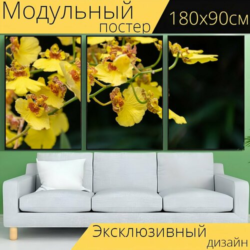 Модульный постер "Орхидея, цветы, флора" 180 x 90 см. для интерьера