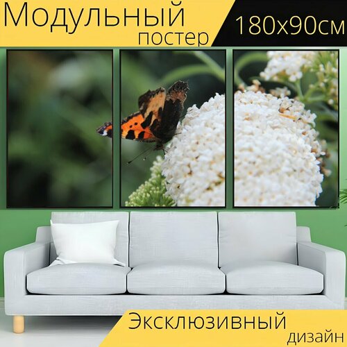 Модульный постер "Бабочка, животное, насекомое" 180 x 90 см. для интерьера